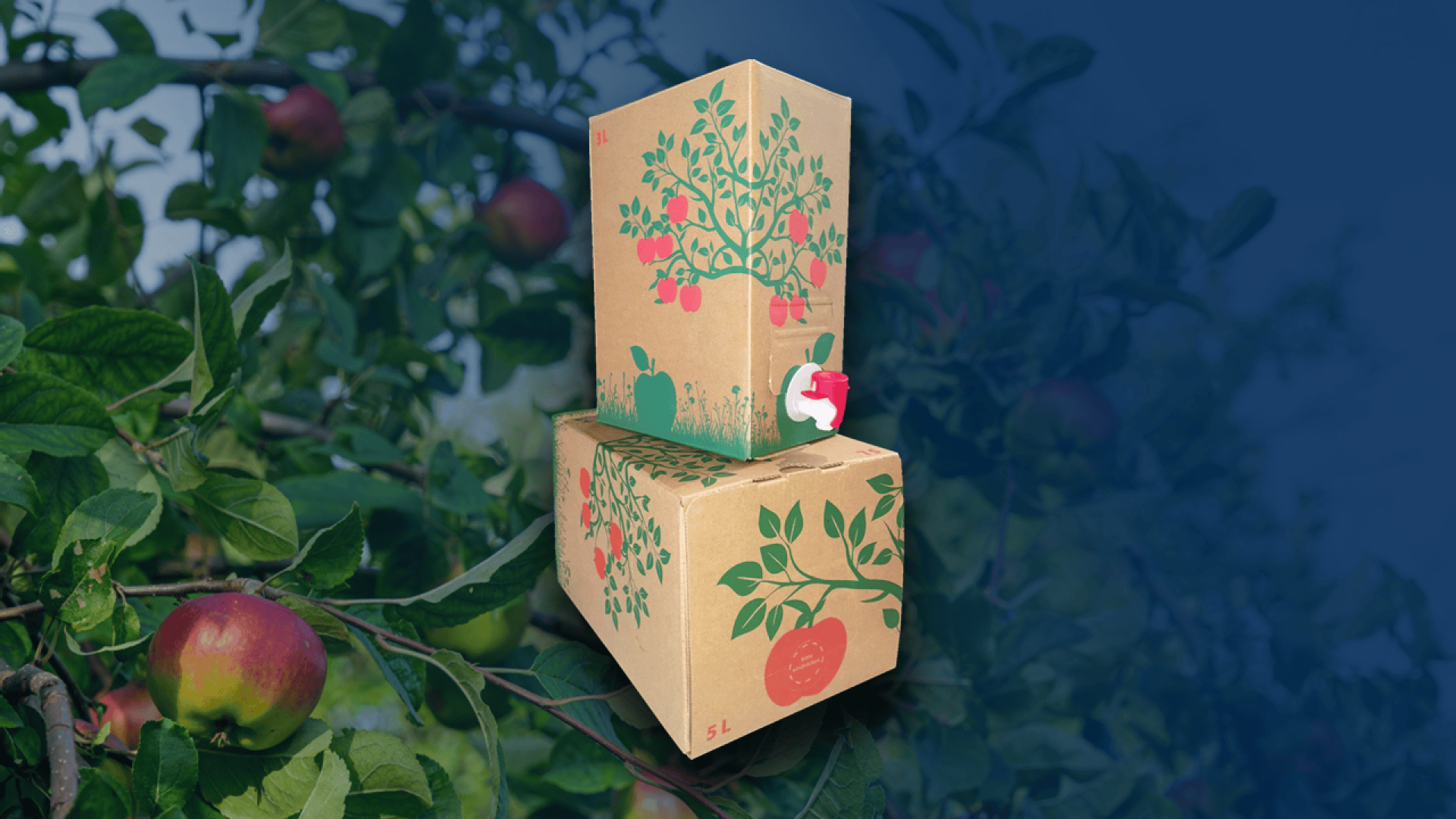 prima bag-in-box: Your fruit juice, packaged safely and sustainably