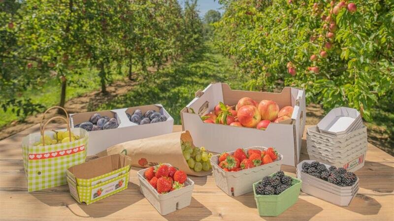 Our wide range of Fruit and vegetable packaging