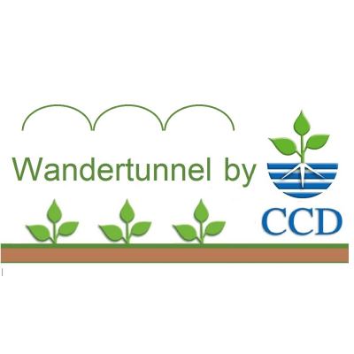 CCD SA