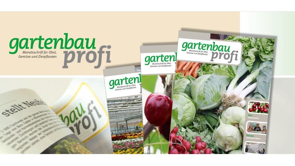 Gartenbau Profi: Monatsschrift für Obst, Gemüse und Zierpflanzen